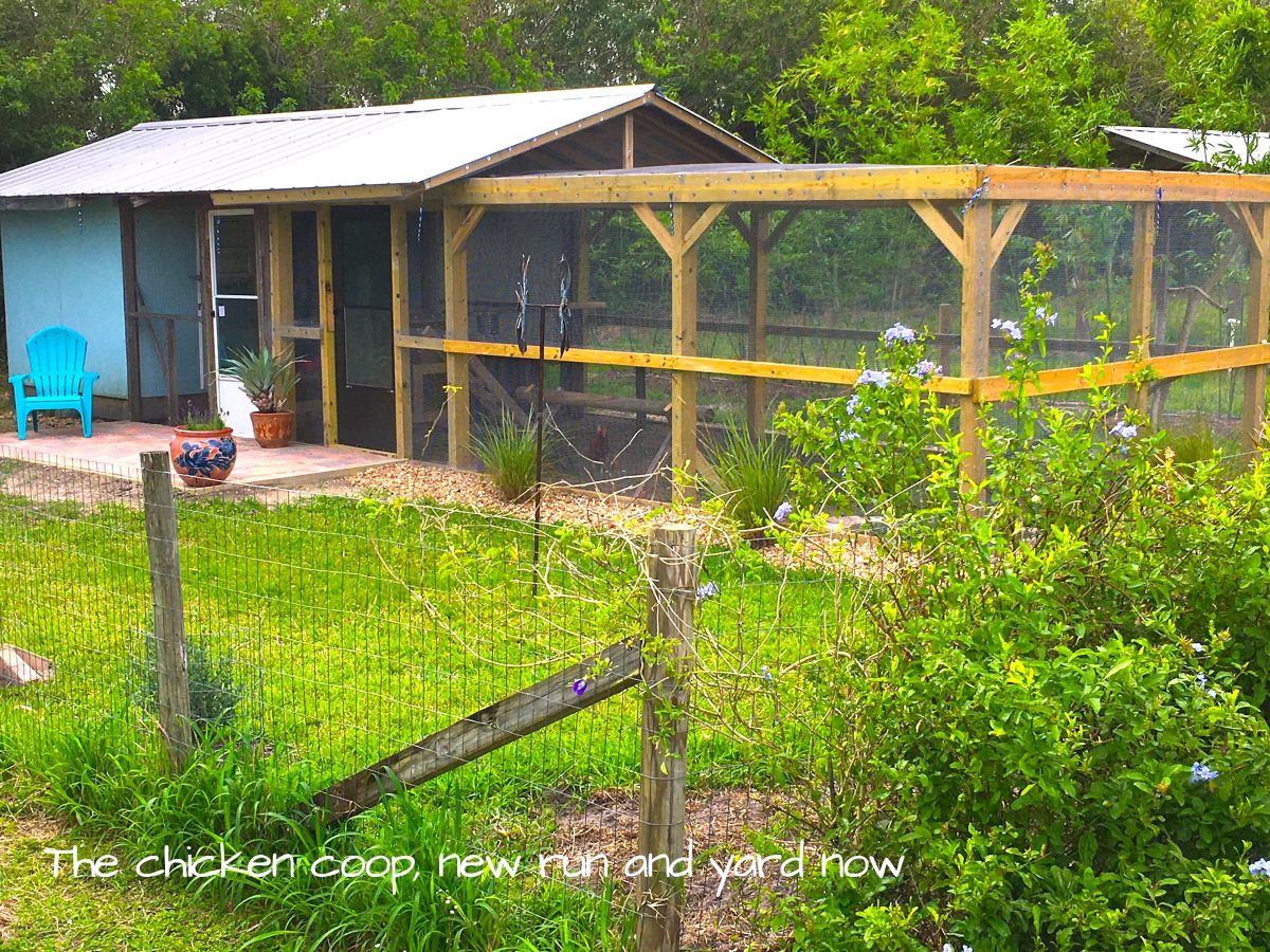 Sweetgrass Farm ~ Sweetgrass Farm Garden